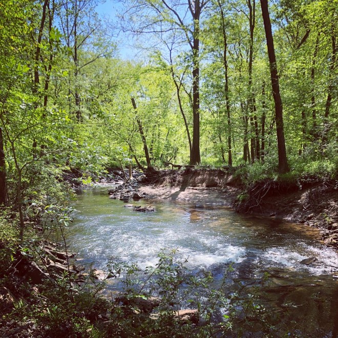 Twelve Months of Trails: Difficult Run Stream Valley Park (Great Falls ...